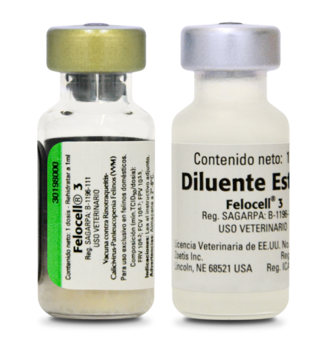 Felocell CVR – Pet World Panamá