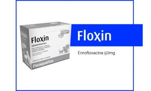 Floxin 50mg – Pet World Panamá